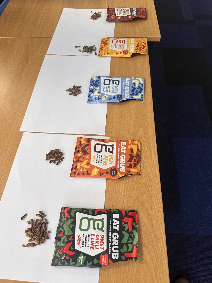 Grub's Up | geoblogs | Blipfoto