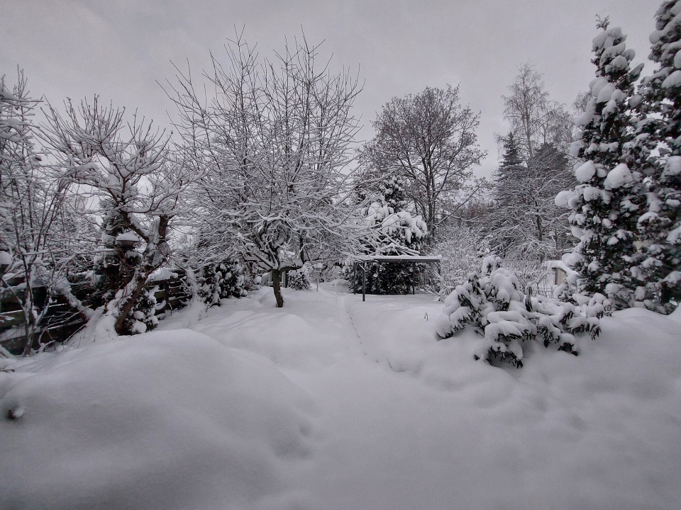 A real winter. | Susanna | Blipfoto