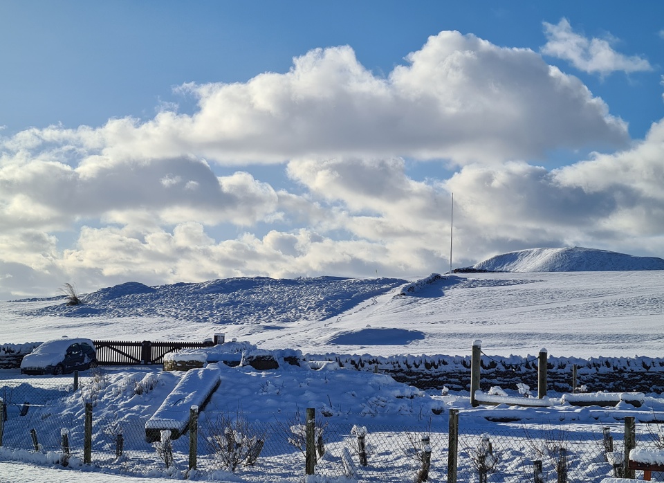 SNOWY | EllyJay | Blipfoto