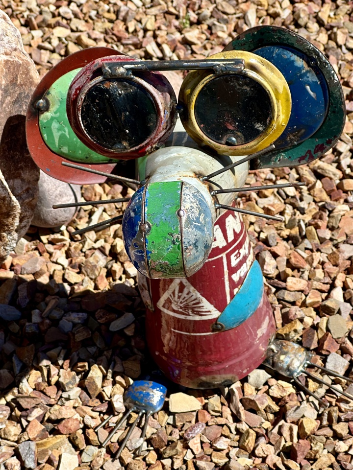 Blind Mouse | laurie54 | Blipfoto