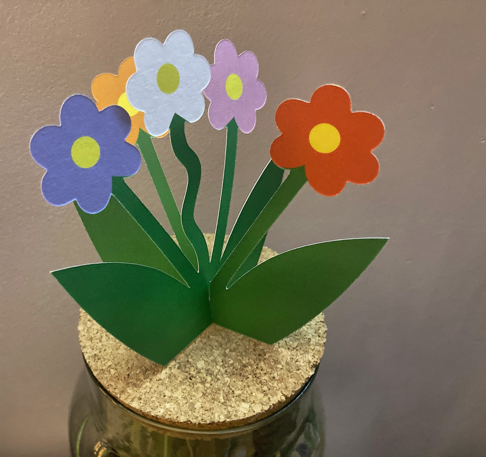 Flower Friday | mambo | Blipfoto