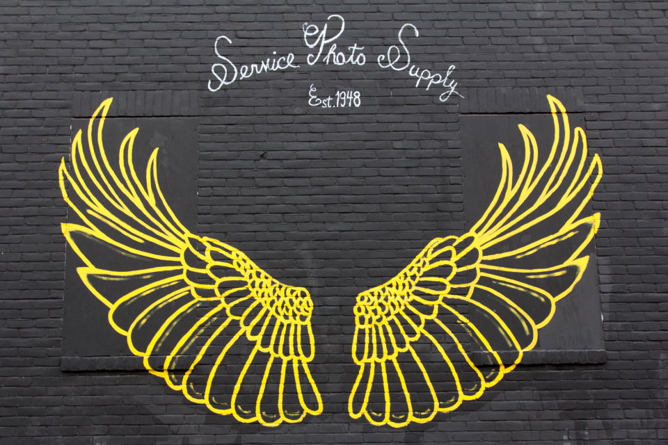 Camera store wall | FotoAlex | Blipfoto