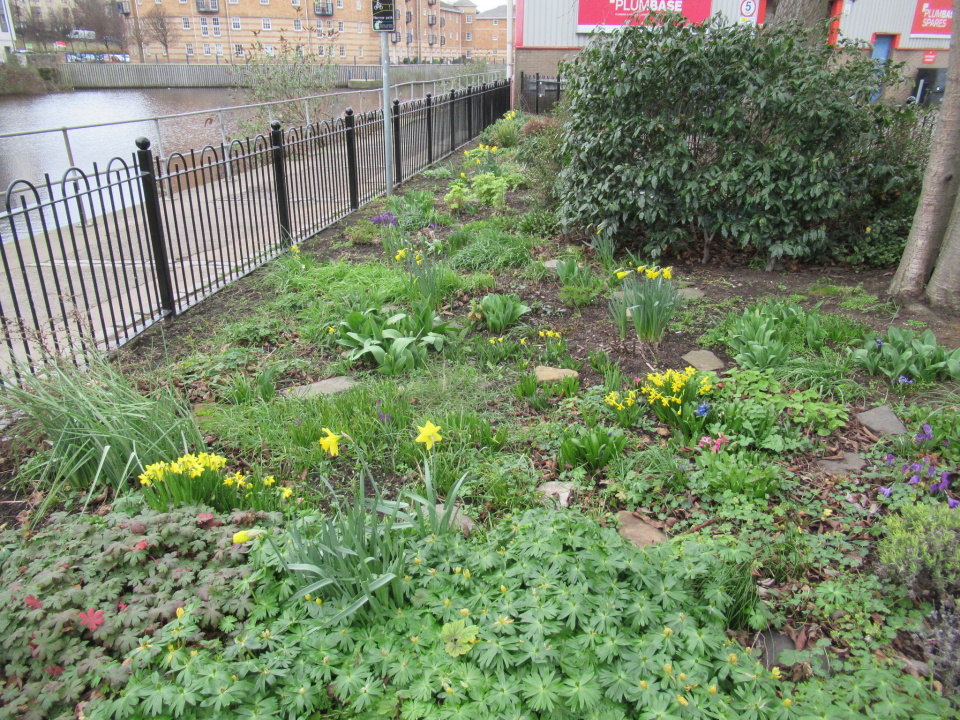 Wee garden | meles | Blipfoto