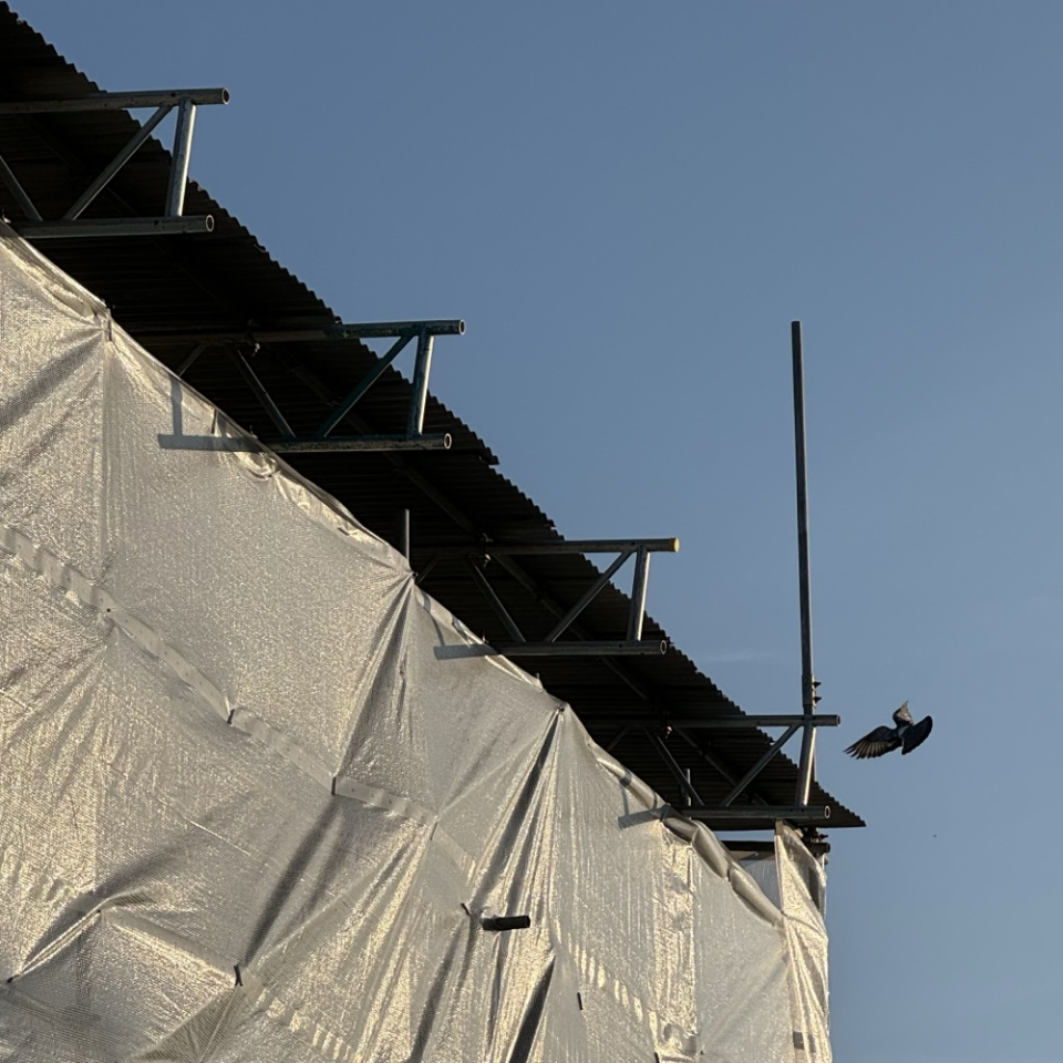 Pigeon loft | Pixelstate | Blipfoto