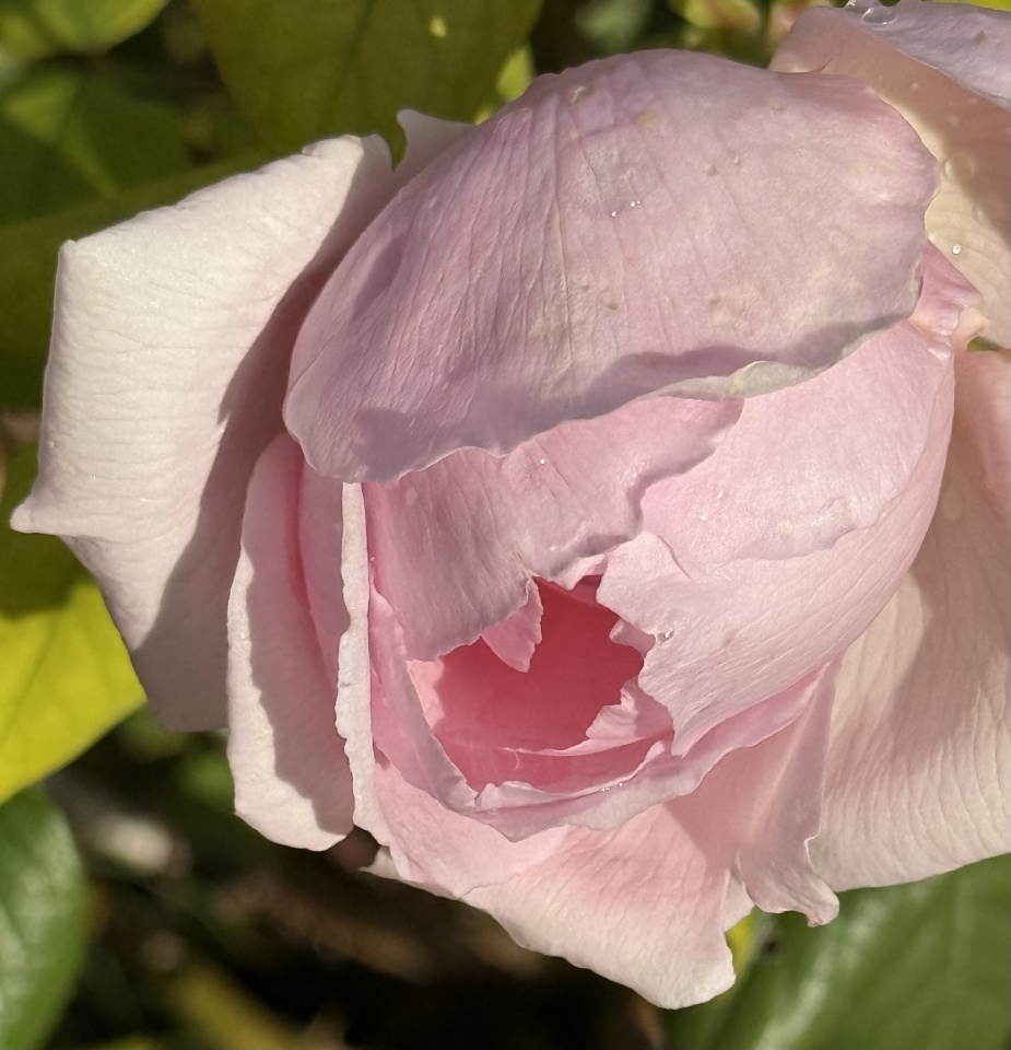 Lost | Technophobe | Blipfoto