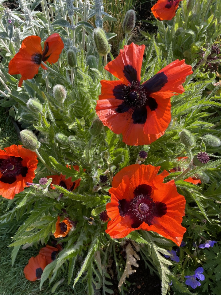 Friday | 58jc | Blipfoto