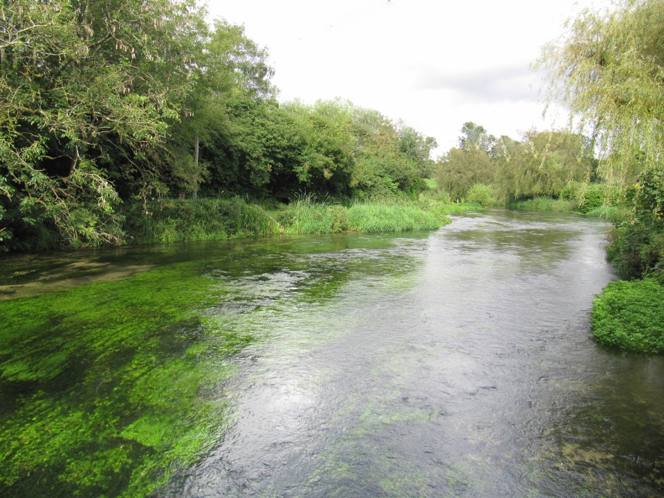 River Itchen at Shawford | helenann | Blipfoto