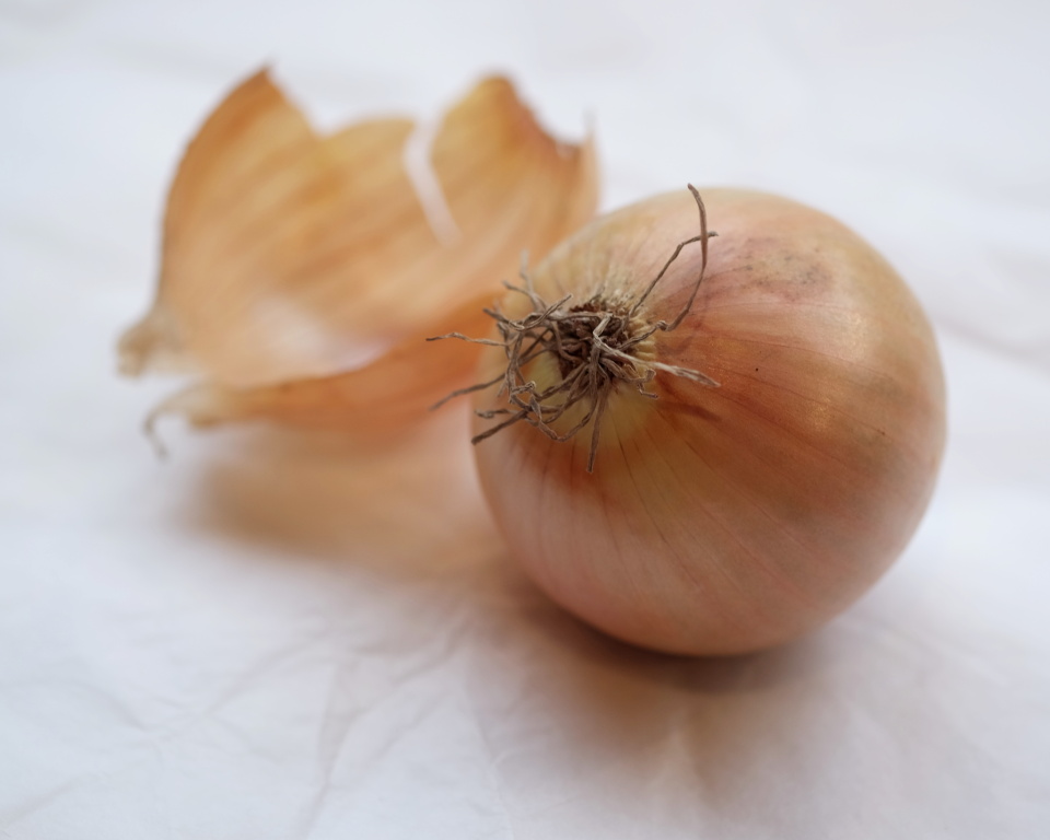 The Onion Song . . . | V1k1 | Blipfoto
