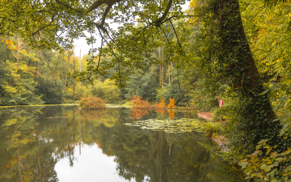 Abbot's Pool | RobBris50 | Blipfoto