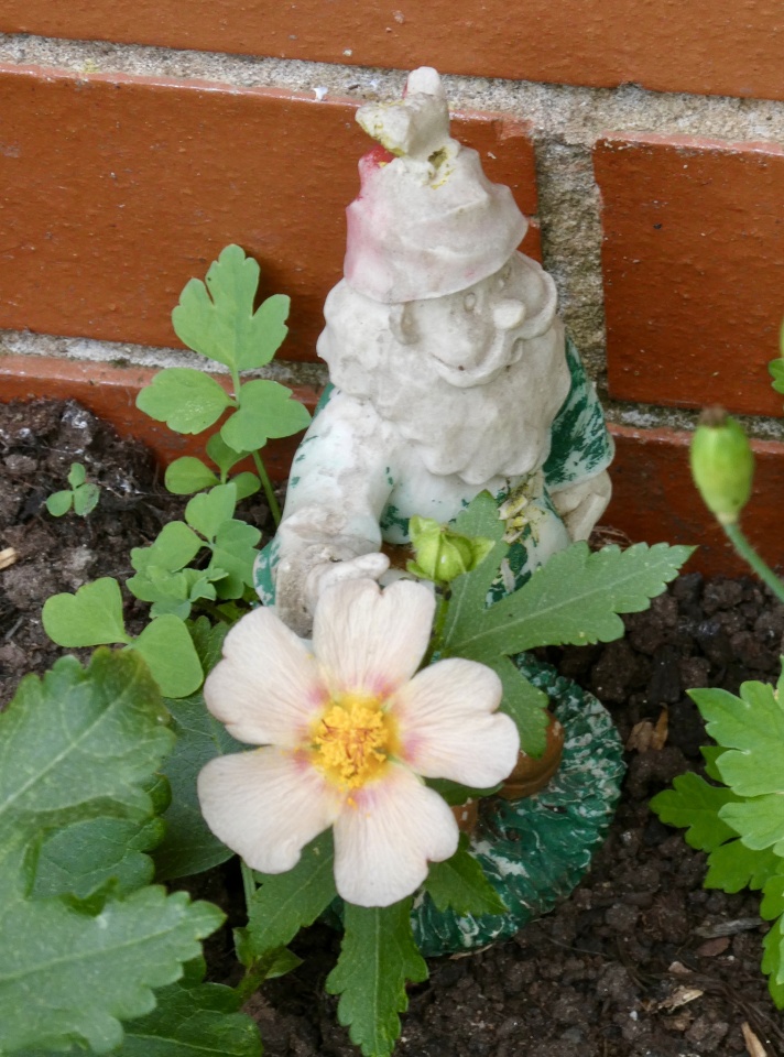Not a gnome person, me….. | orchid99 | Blipfoto