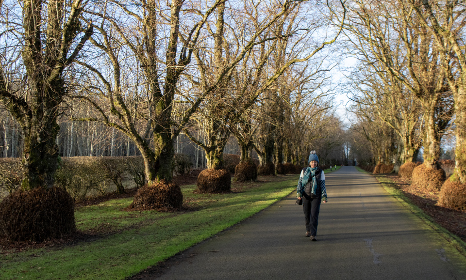 Christmas Day Walk | Wendles56 | Blipfoto