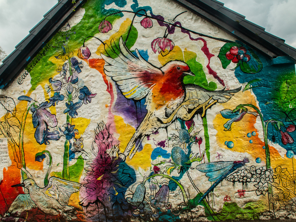 Can you pop all the bubbles | P1nkdragen | Blipfoto