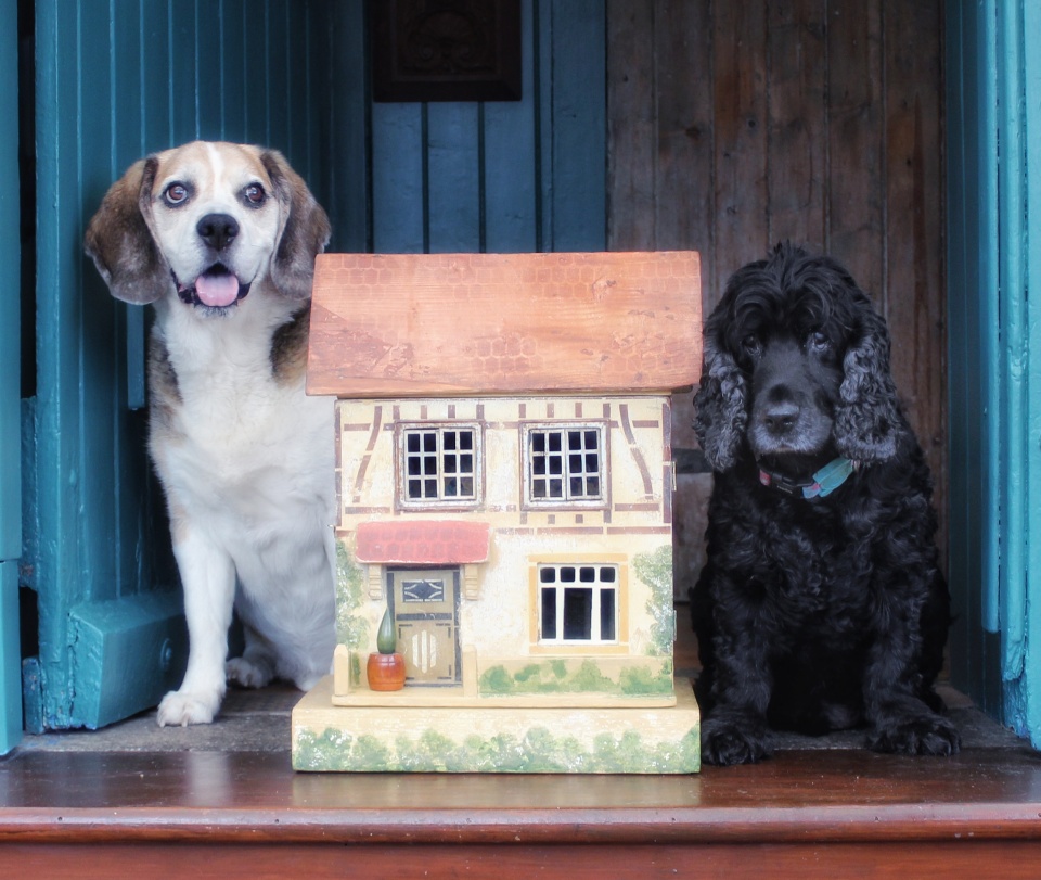 H.B.T.Y. | Charlie17 | Blipfoto