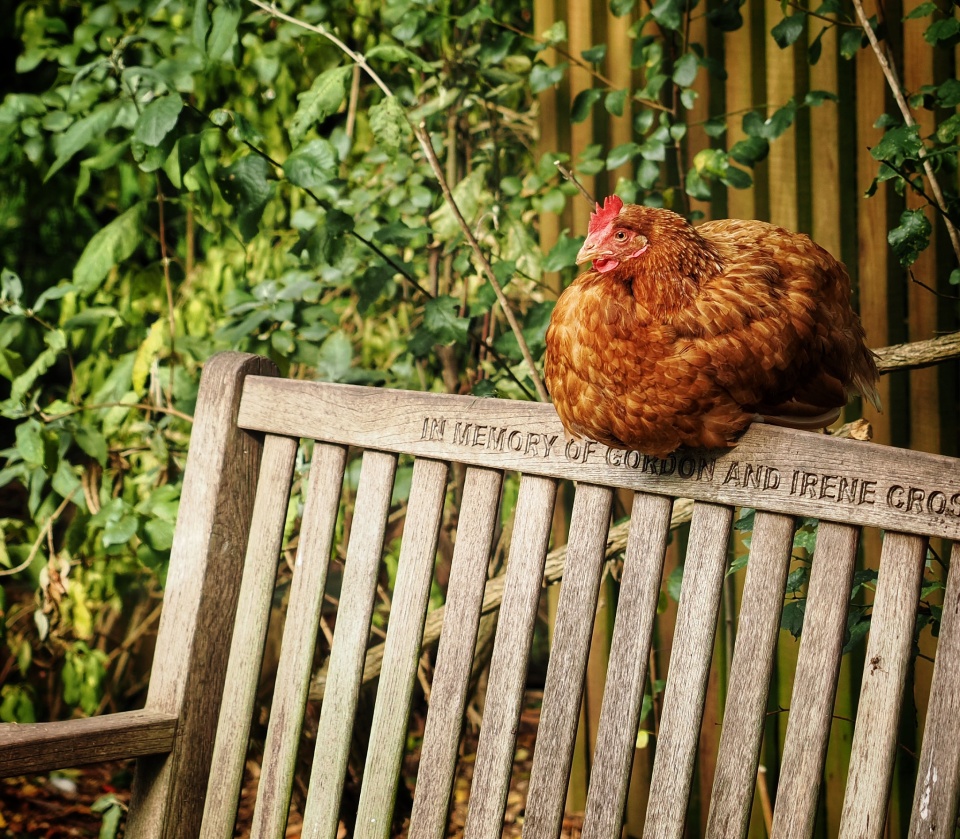 Ta chuck | Technophobe | Blipfoto