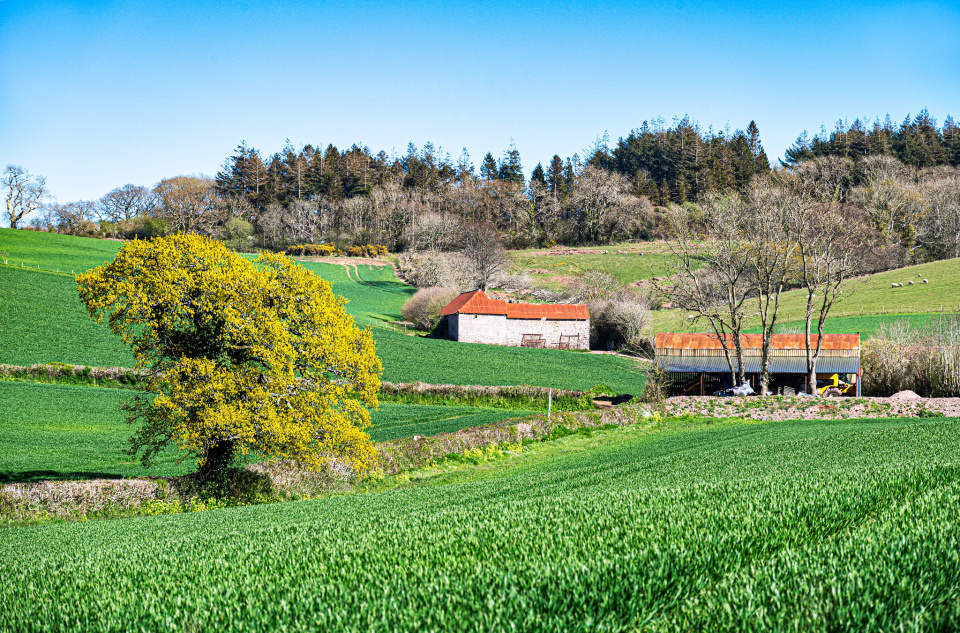 Humber Barn | RockArea | Blipfoto