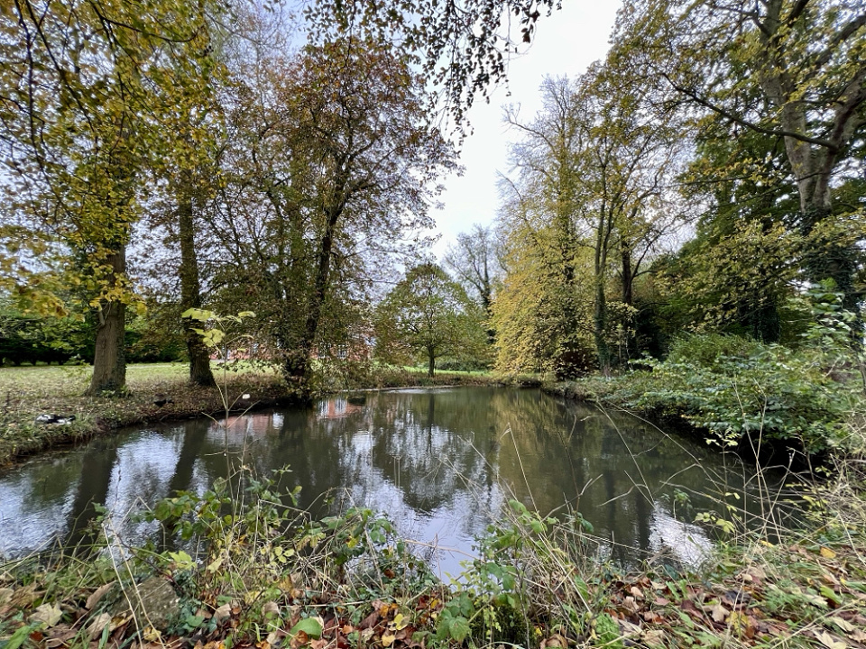 Duck… | Romay | Blipfoto