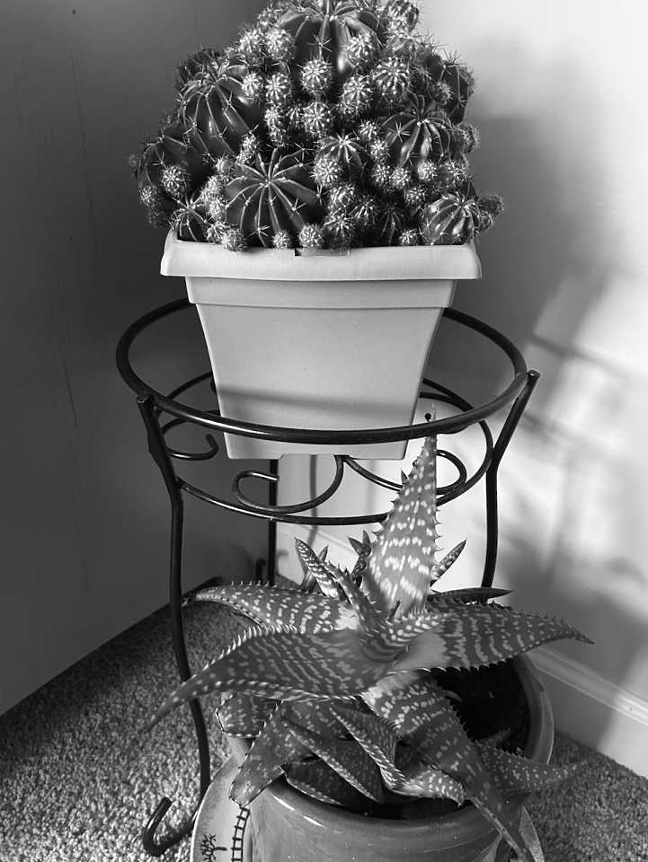 All Green All The Time | Doingok | Blipfoto