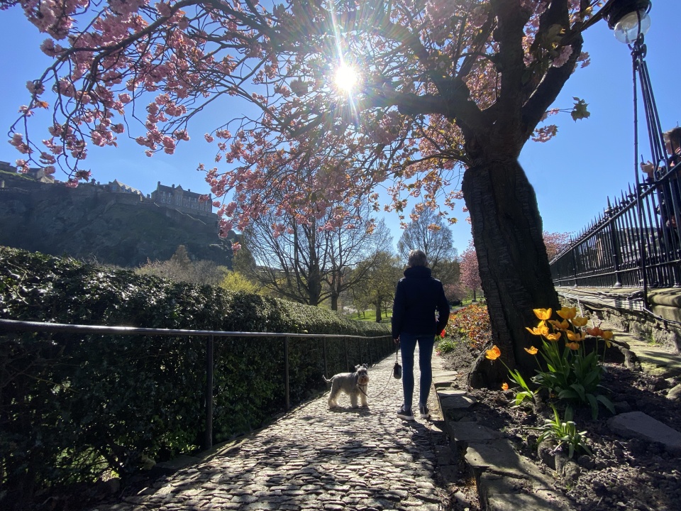 Epic Walk (Day 35) | LadyMarchmont | Blipfoto