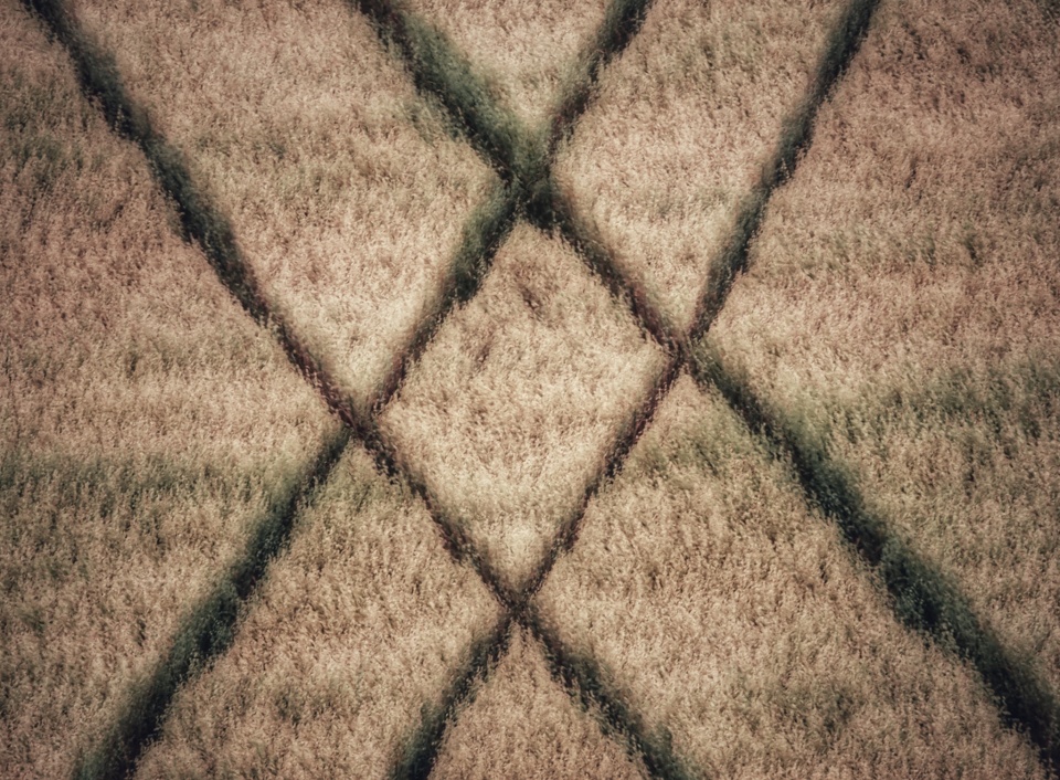 Patterns | rainie | Blipfoto