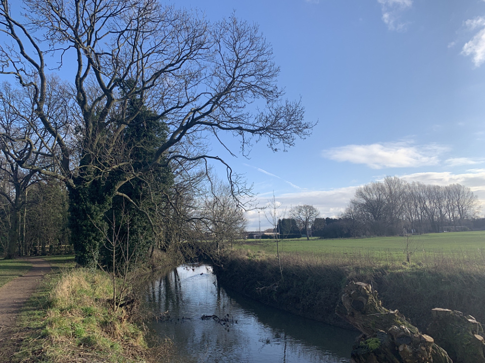 Lunchtime stroll | FranWilkinson50 | Blipfoto