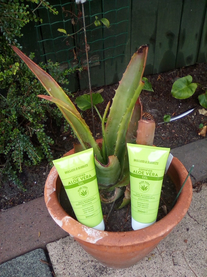 HALLO VERA | Shygirl73 | Blipfoto