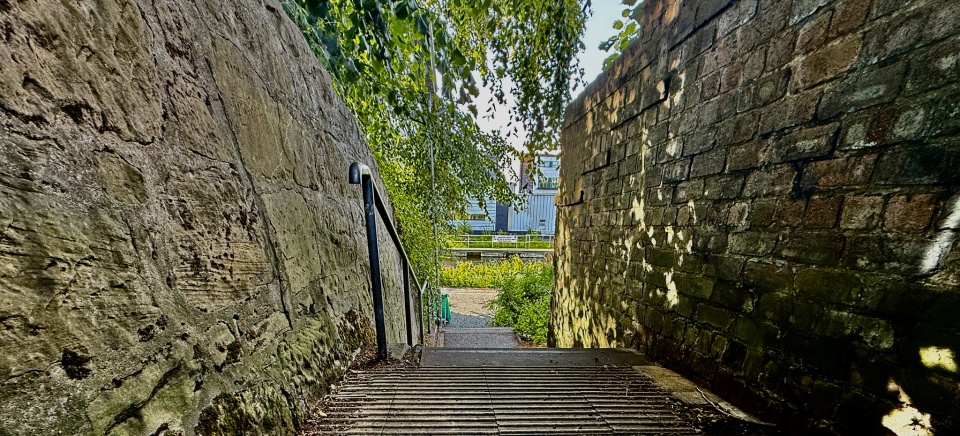 STEPS - WED CHALLENGE. | Larchlea | Blipfoto
