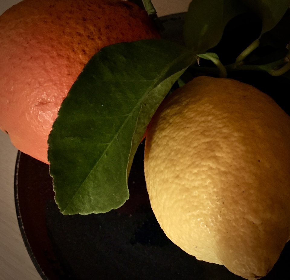 fruits | bibba | Blipfoto