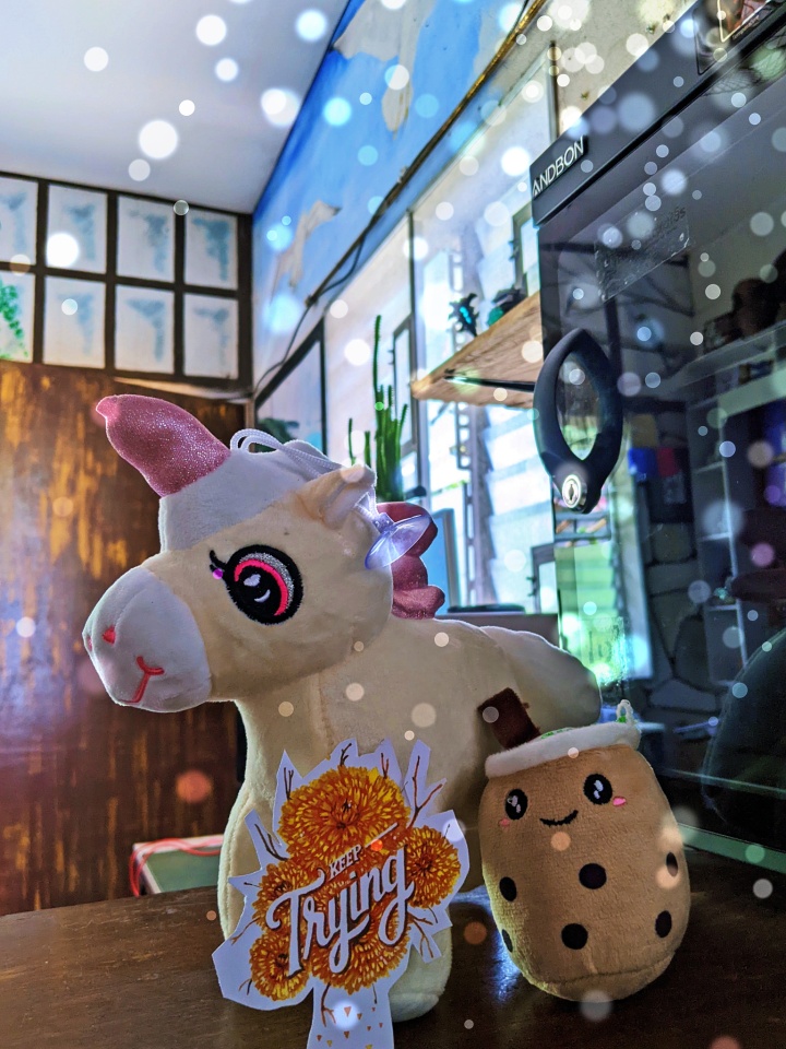 Princess Glitter Sparkles and Boba | sofiavillanueva | Blipfoto