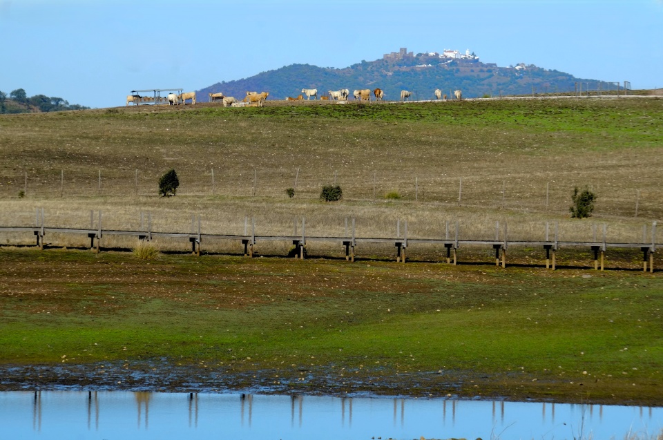 Blipping Benefits | amandoAlentejo | Blipfoto
