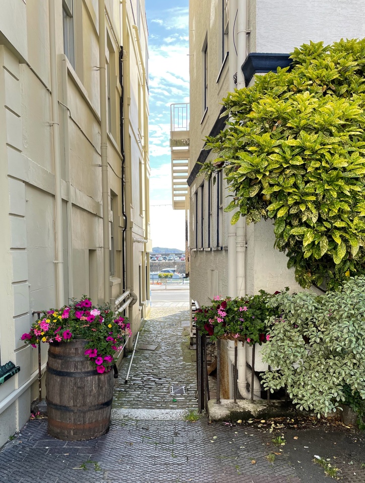 Cow Lane | UrbanDonkey | Blipfoto