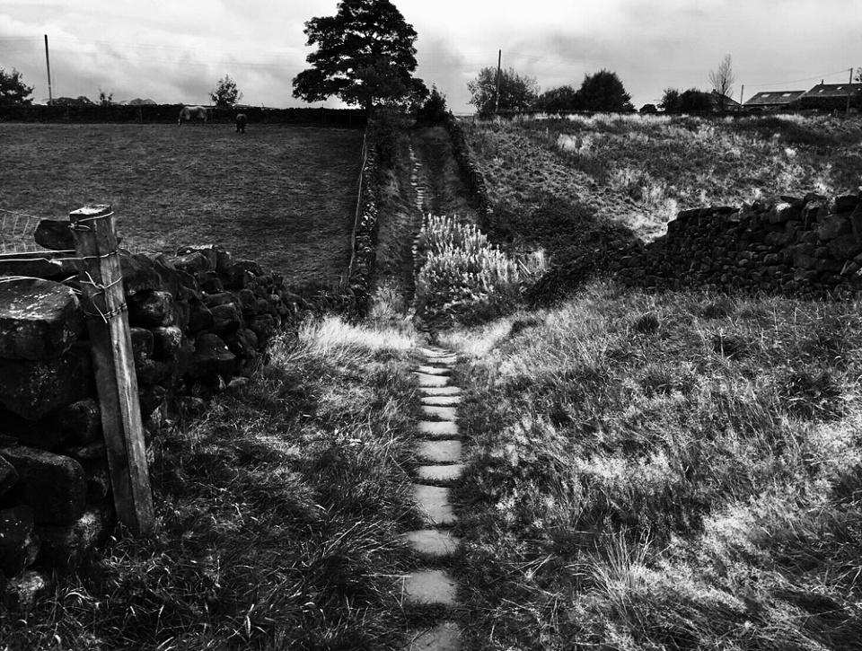 Near Eldwick | oneD | Blipfoto