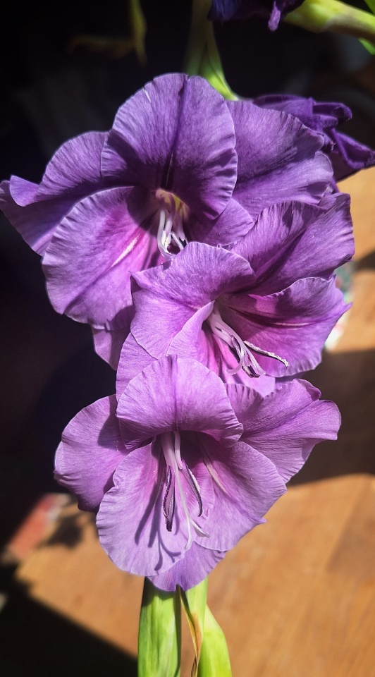 Thursday | Caffeinated | Blipfoto