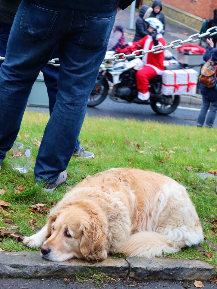 Not more bikes! | Sue_H_photos | Blipfoto