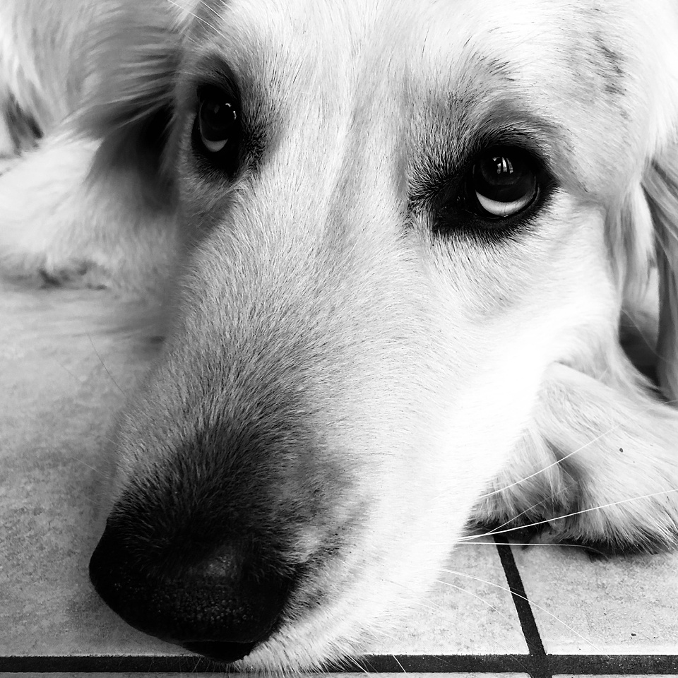 Der* Angsthase | kettwigefrau | Blipfoto