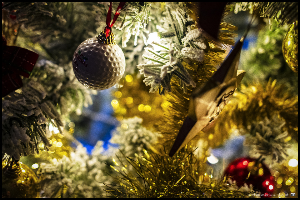 Indoors ... | RobinDown | Blipfoto