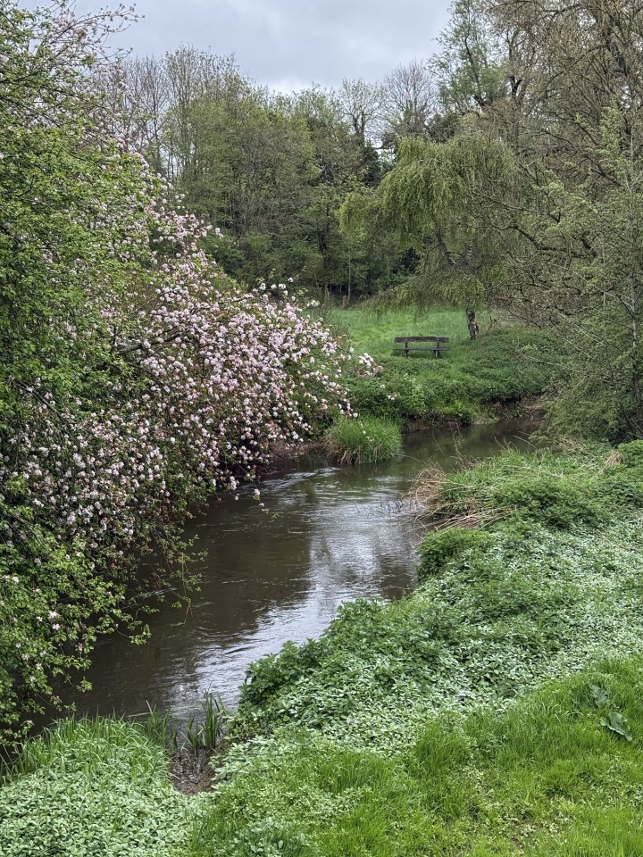 A place to sit | Technophobe | Blipfoto