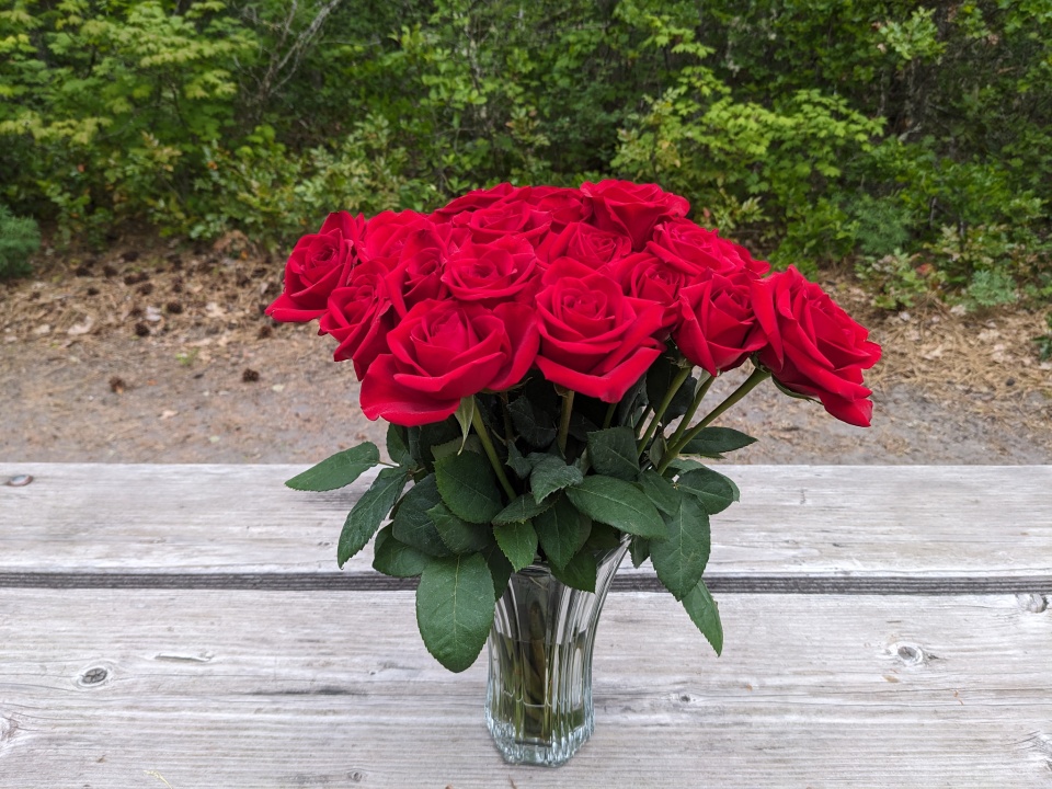 Red | Carolina | Blipfoto