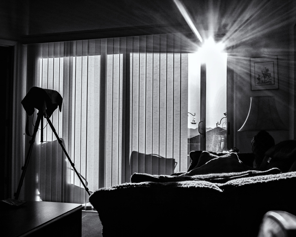 Morning Light | laurie54 | Blipfoto