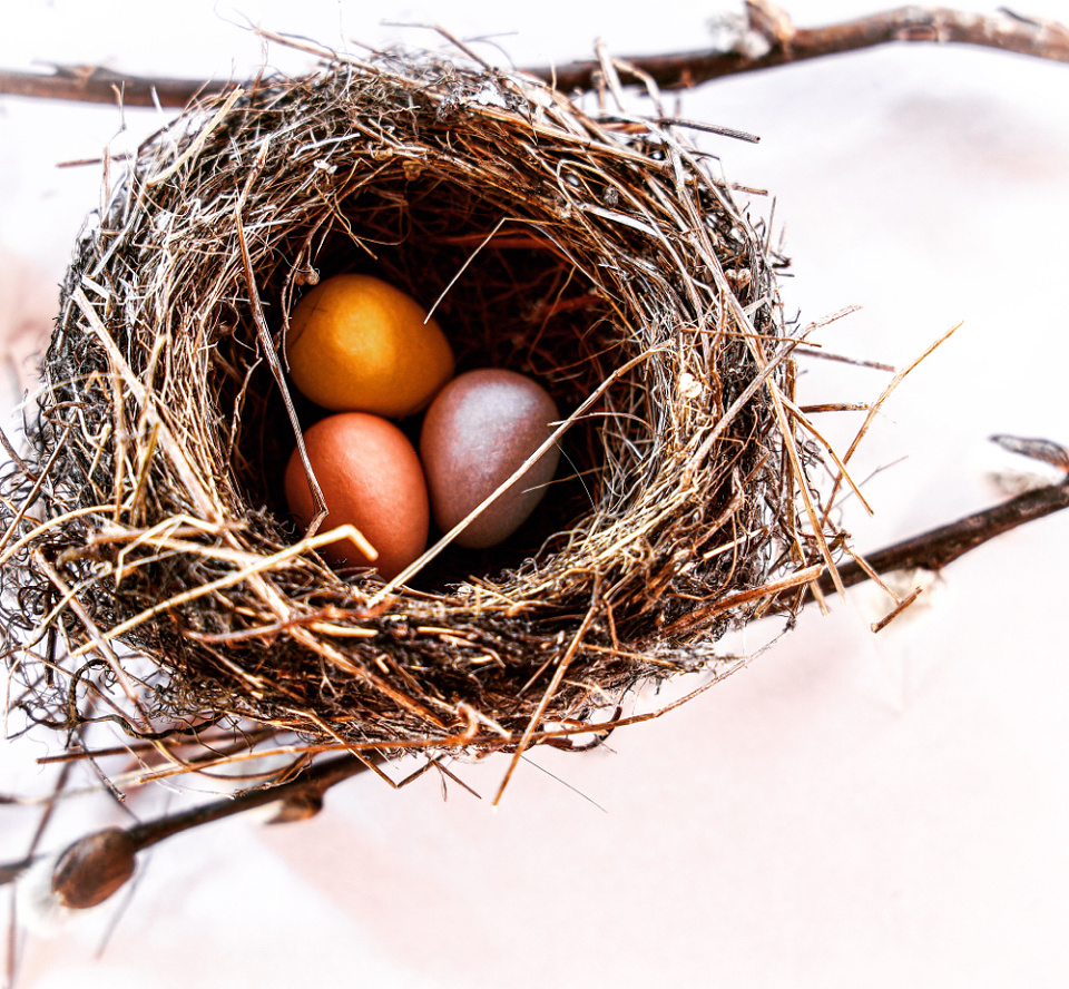 Easter | Lysle_Photo | Blipfoto