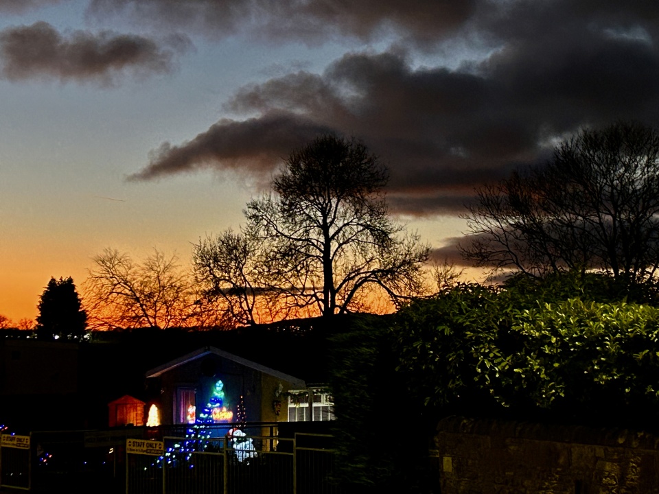 WONDERFUL EVENING. | Larchlea | Blipfoto