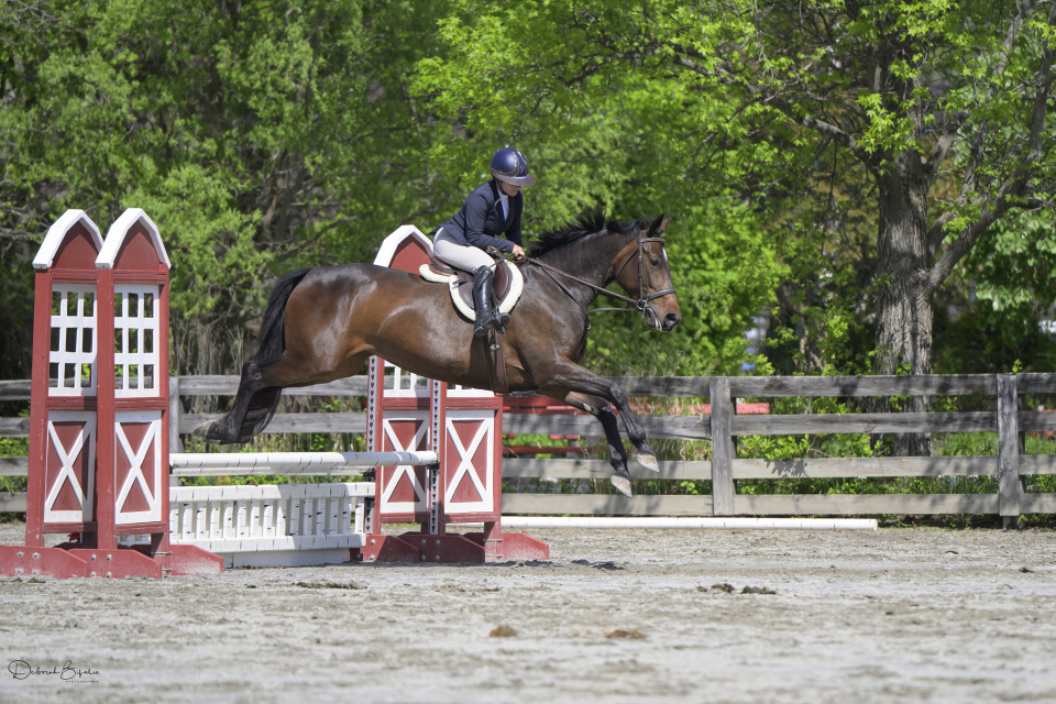 Flying... | dbifulco | Blipfoto