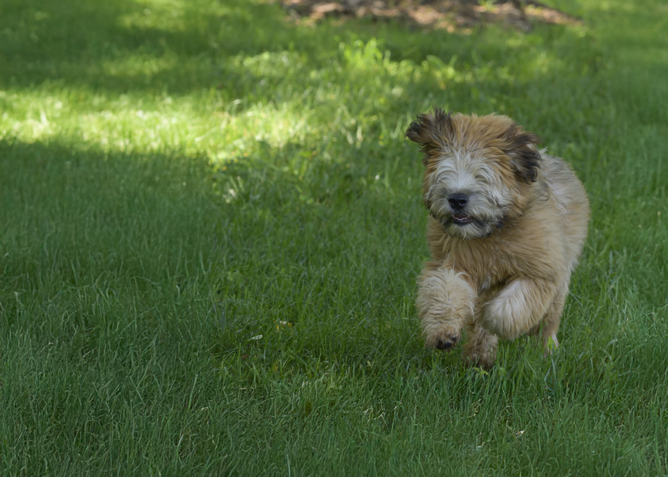 Tiny | dbifulco | Blipfoto