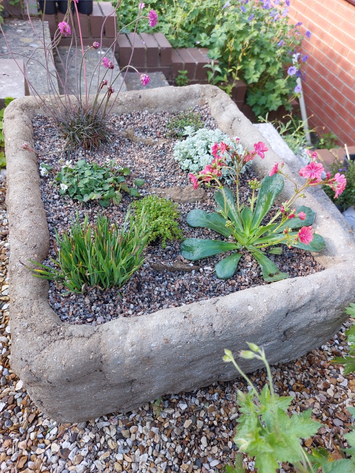 Sink transformation complete | helenann | Blipfoto