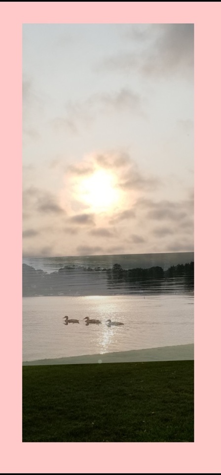 on Bangs Lake | LauriesPictos | Blipfoto