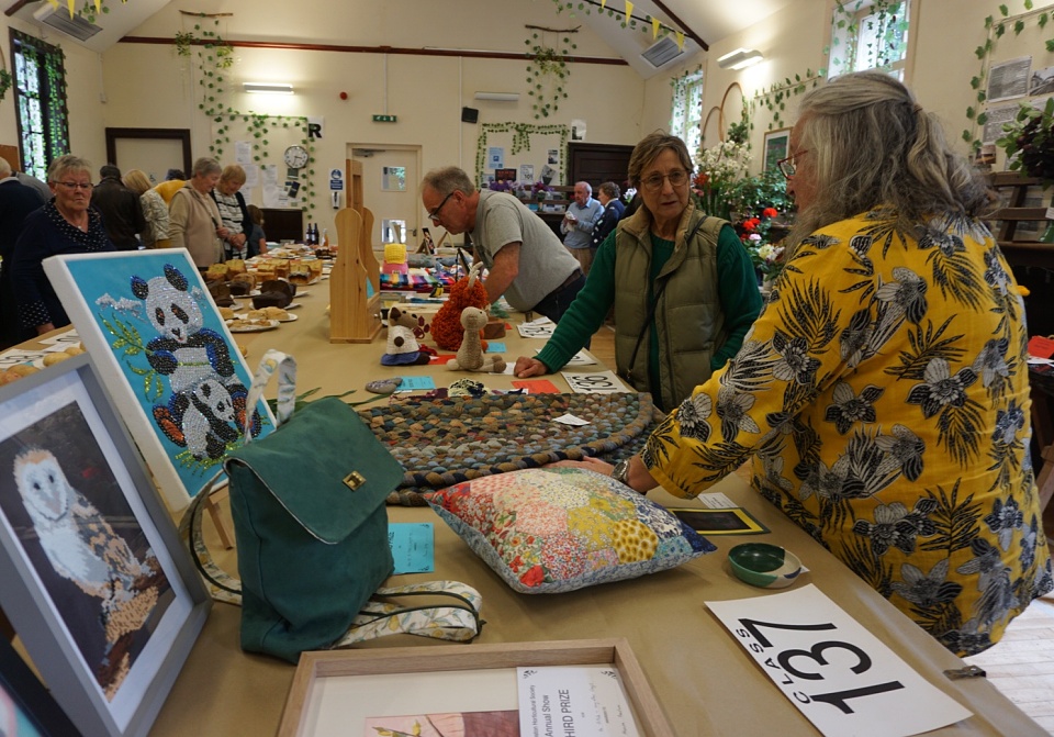 Show Time | thebear | Blipfoto