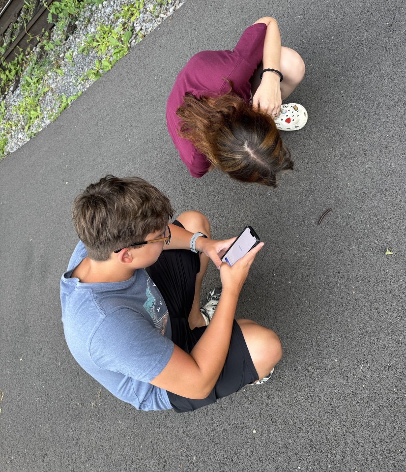 Bug Inspectors | TurtleBug | Blipfoto