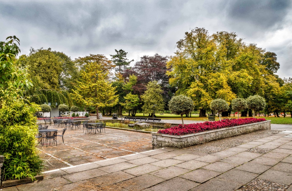 Hazlehead Park | Robin | Blipfoto