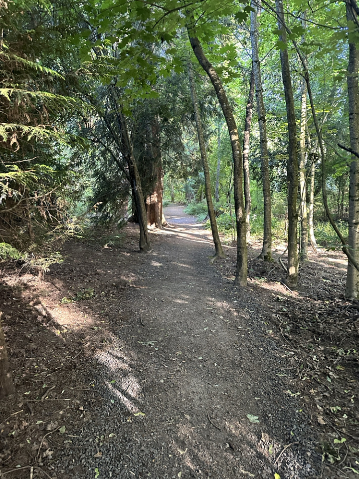 Cool Walk | seniormoments | Blipfoto