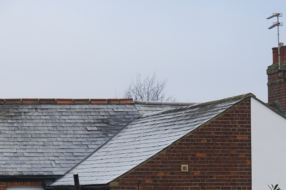 Frosty Roofs | ninetofortytwo | Blipfoto