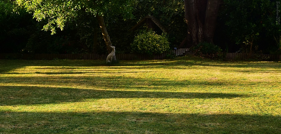 Lawn ............ | BikerBear | Blipfoto